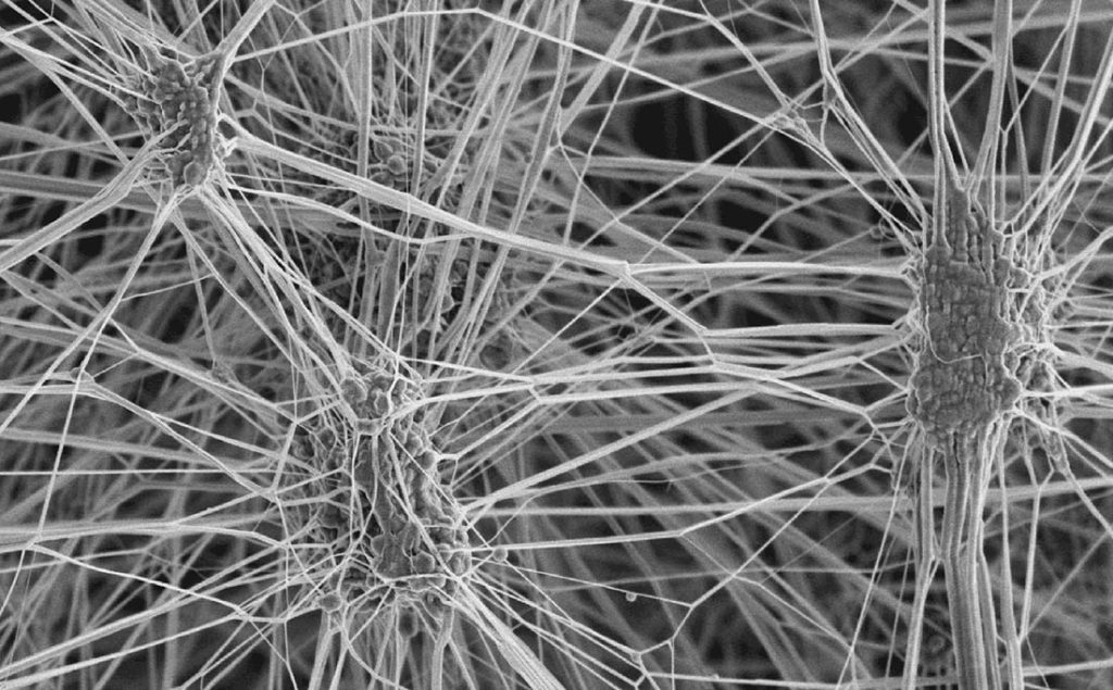 How did PTFE membrane for filtration come to be? - International ...