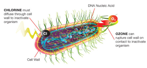 Stormwater – Ozone’s Next Frontier - International Filtration News